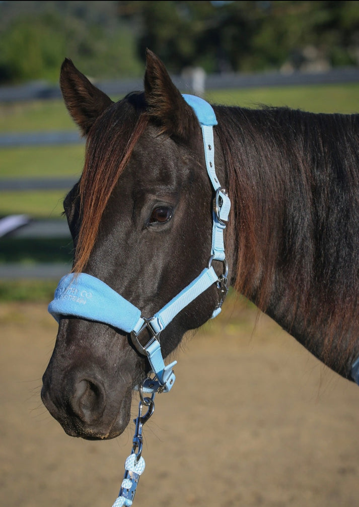 Sky Blue - Fleece Halter & Lead Rope – Country Co Equestrian